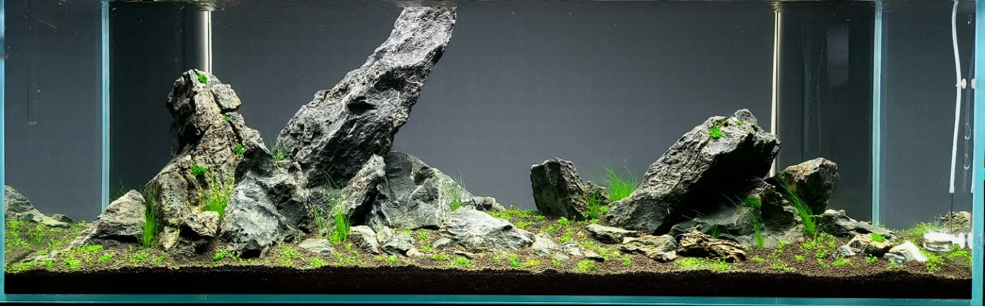 ADA Cube Garden 180-P 180×60×60 – GD6 – Acquature Living Art